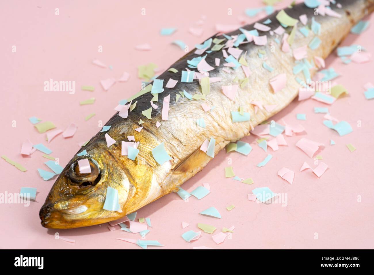 Fish covered microplastic on a pink plate. Impact of micro plastic on ...