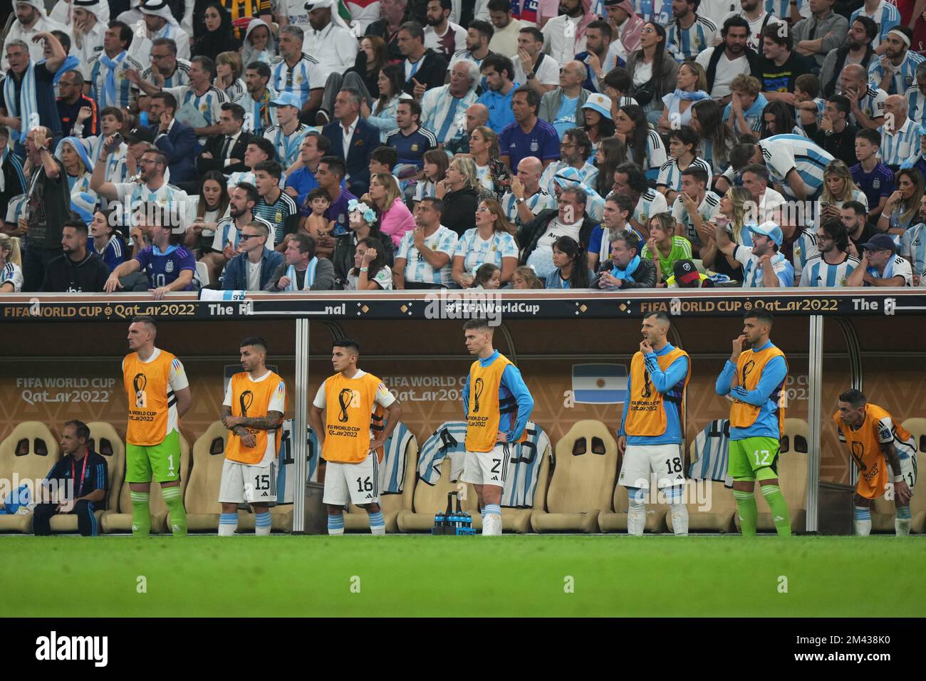 Argentina players on the bench during the FIFA World Cup Qatar 2022 ...