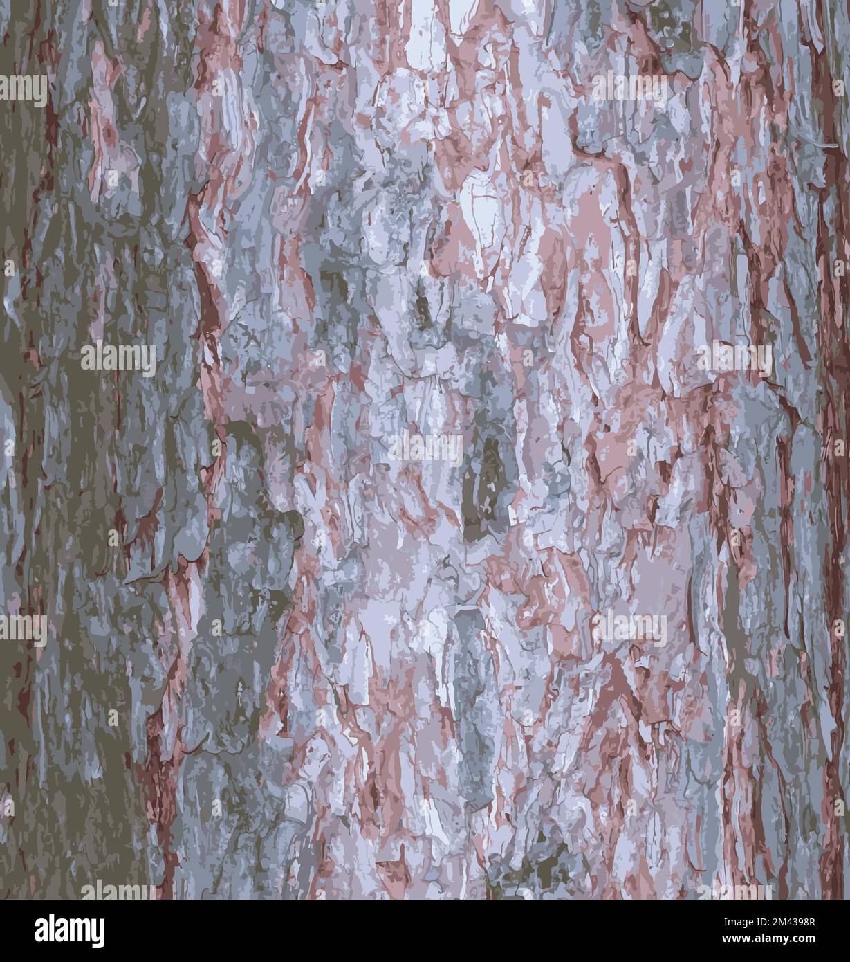 Realistic vector illustration of a pine bark close-up. Texture of Pinus ...