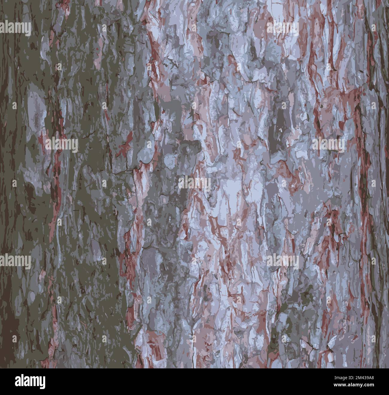 Realistic vector illustration of a pine bark close-up. Texture of Pinus ...
