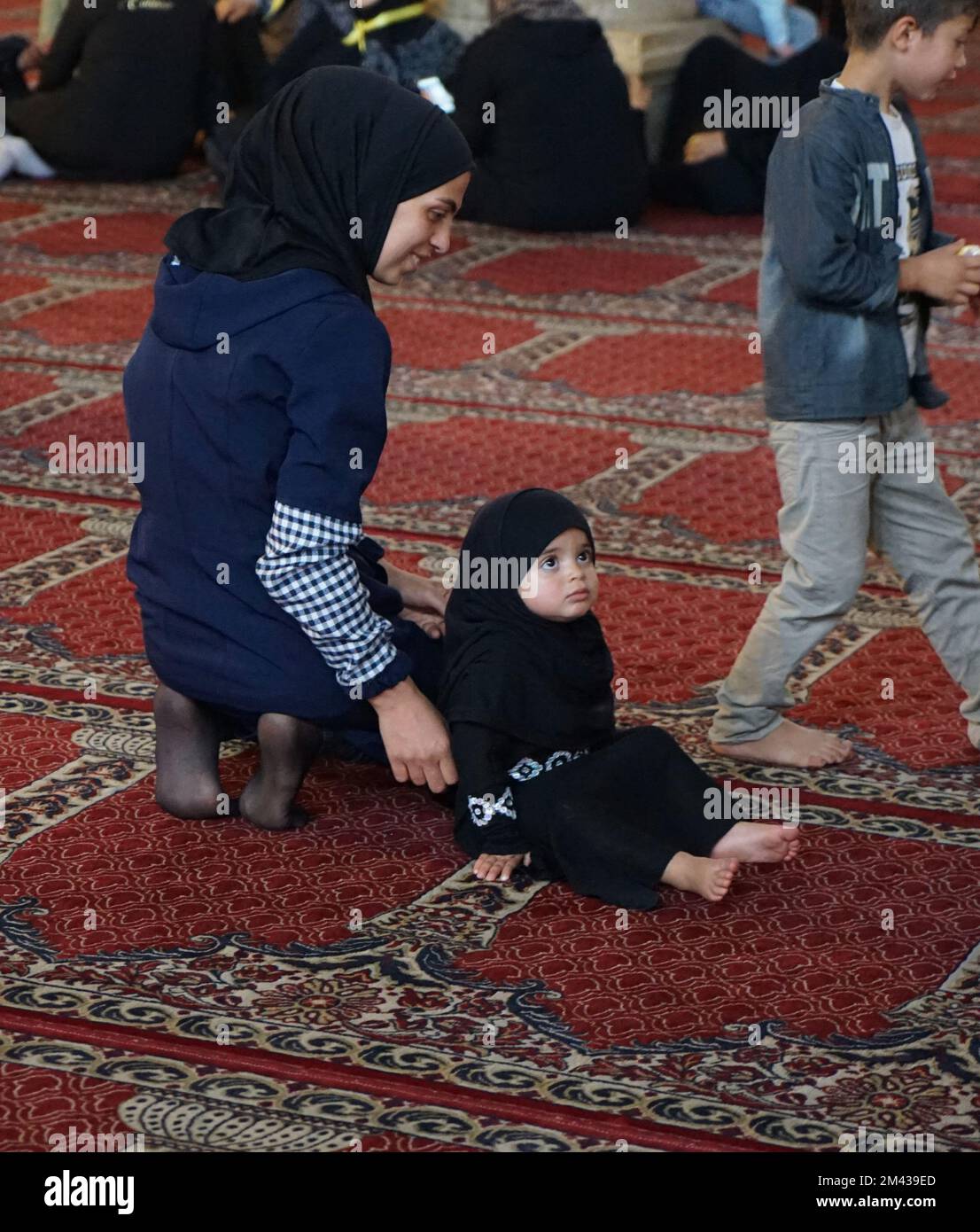 Aleppo, Syria, Umayyad Mosque, prayers Stock Photo - Alamy