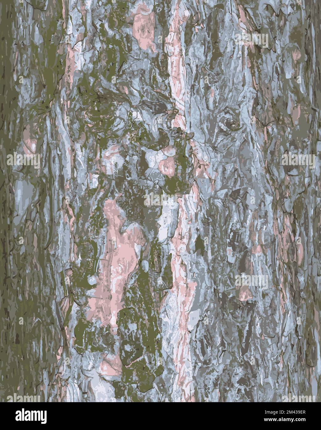 Realistic vector illustration of a pine bark close-up. Texture of Pinus ...