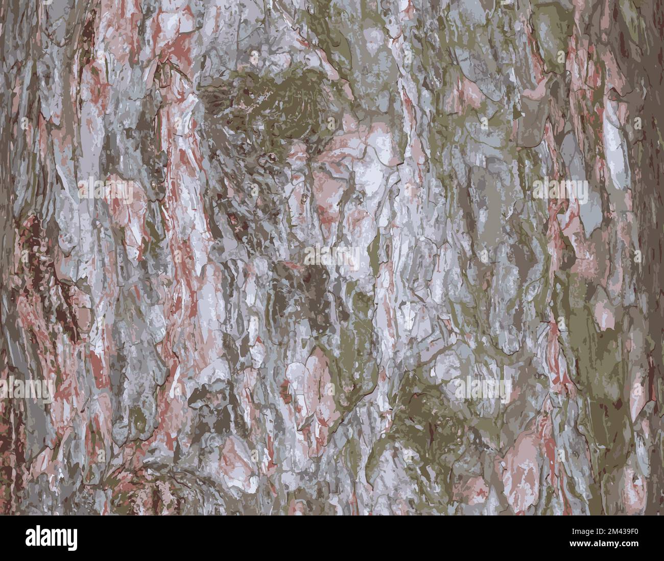 Realistic vector illustration of a pine bark close-up. Texture of Pinus ...