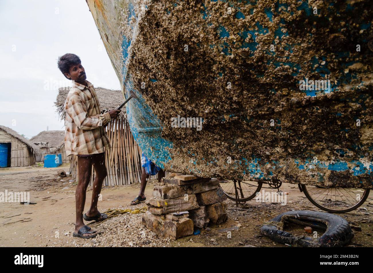 Fisherman cleaning his boot from mussels in the harbour Stock Photo - Alamy