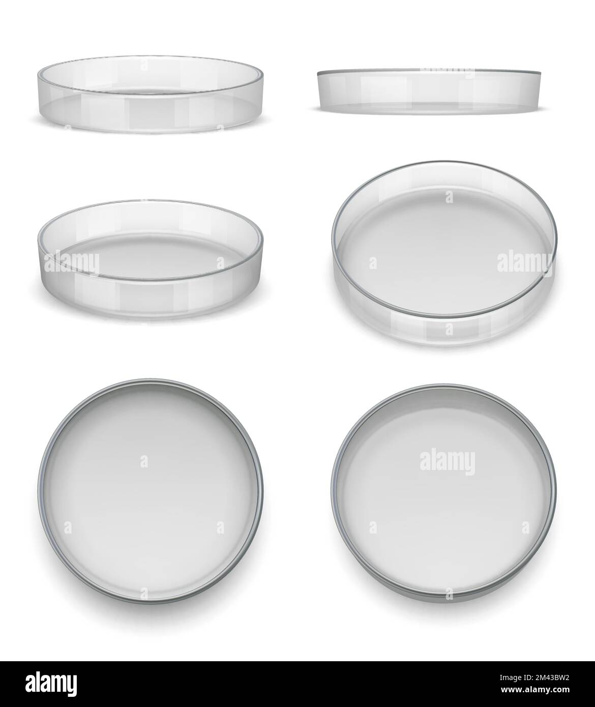 Petri dish. Round dish for analysis or laboratory experiments decent ...