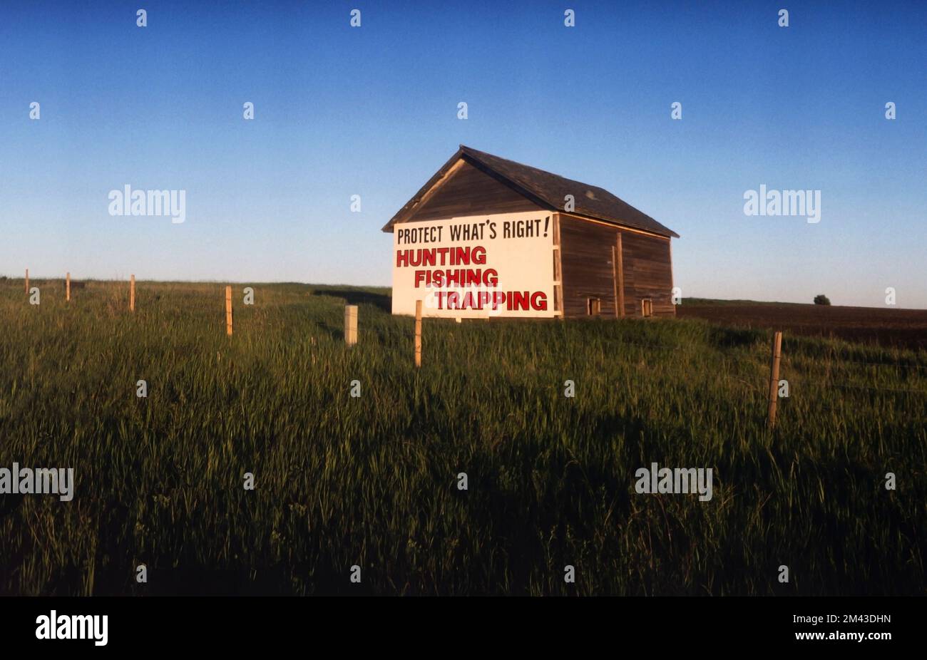 Valued for wildlife hi-res stock photography and images - Alamy