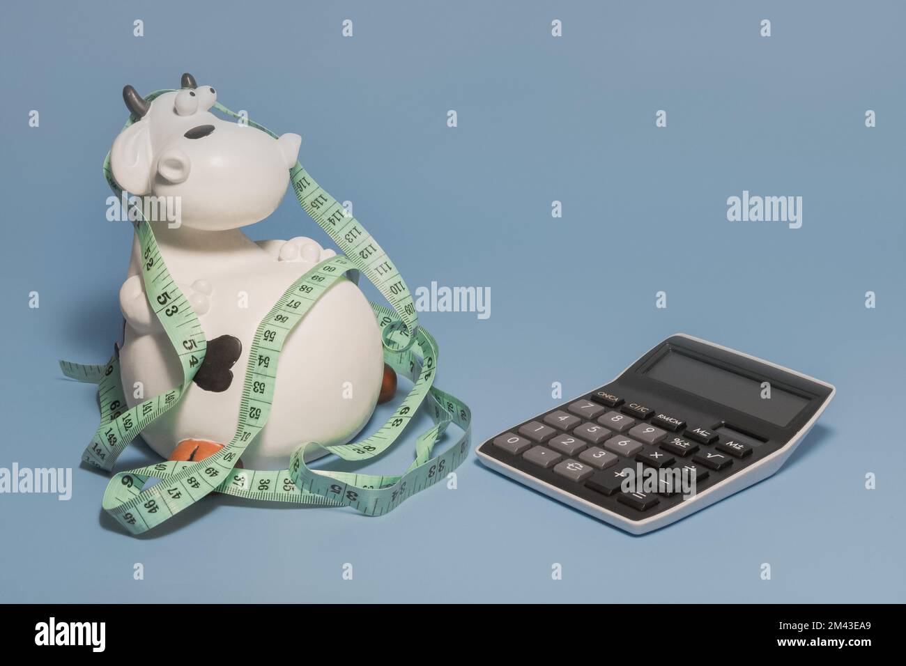 Calorie counting - fun composition with calculator and cow. Blue ...