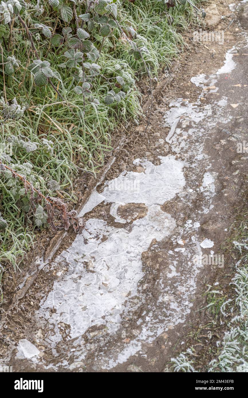 Slippery ice on rural farm track. A few short blades of frost damaged ...