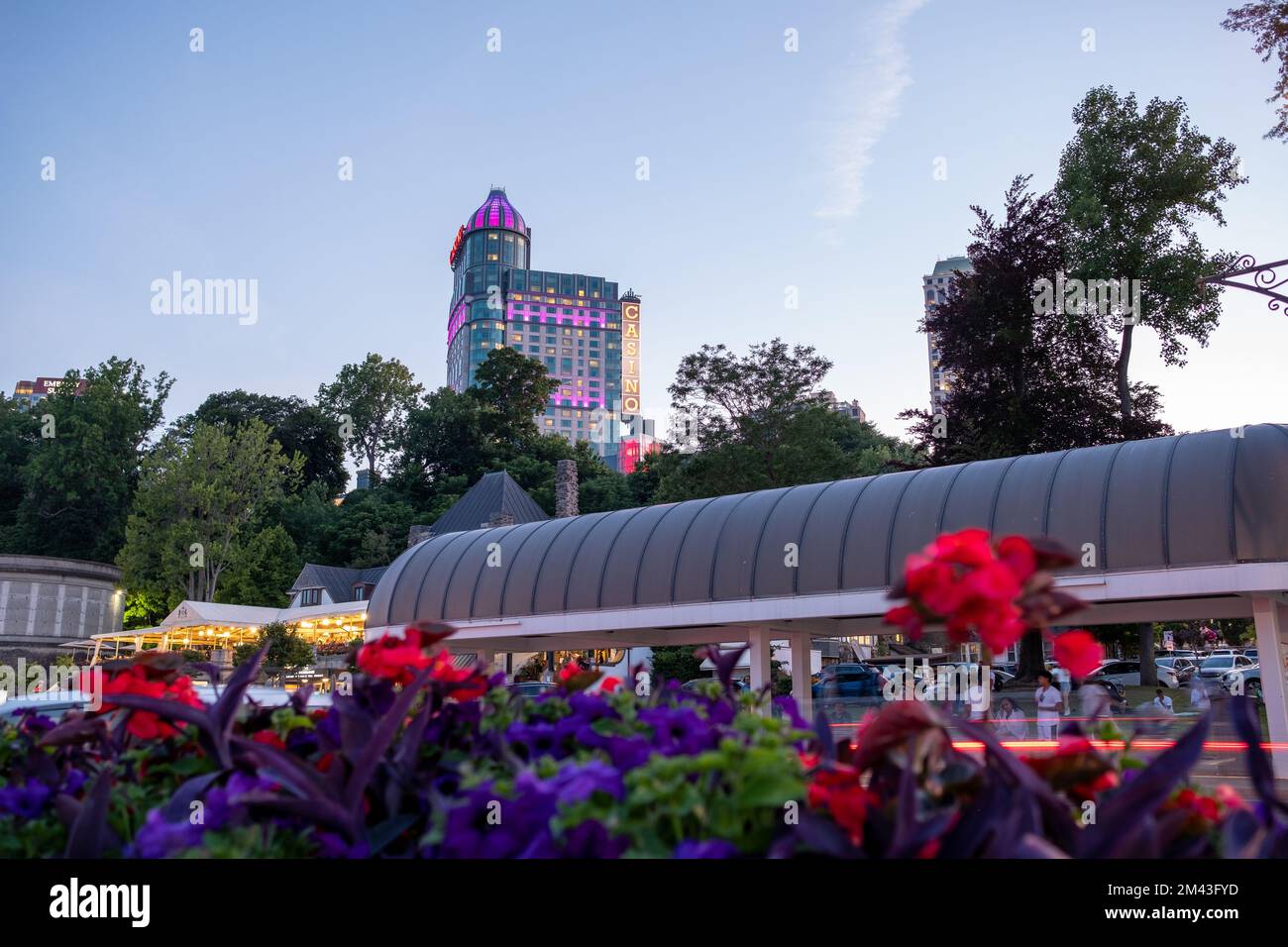 A beautiful view of flowers next to the bus station in Niagara falls ...