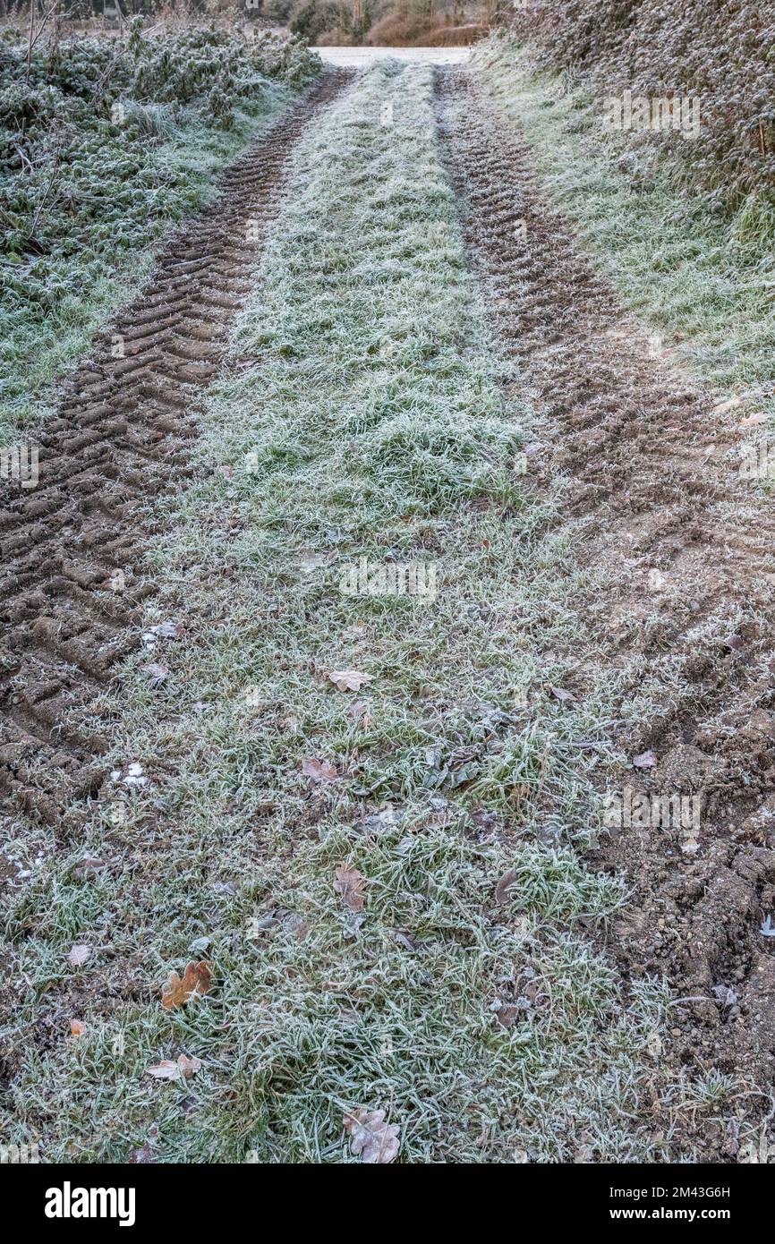 Frozen water on large tractor tracks of farm. For cold weather, life on ...