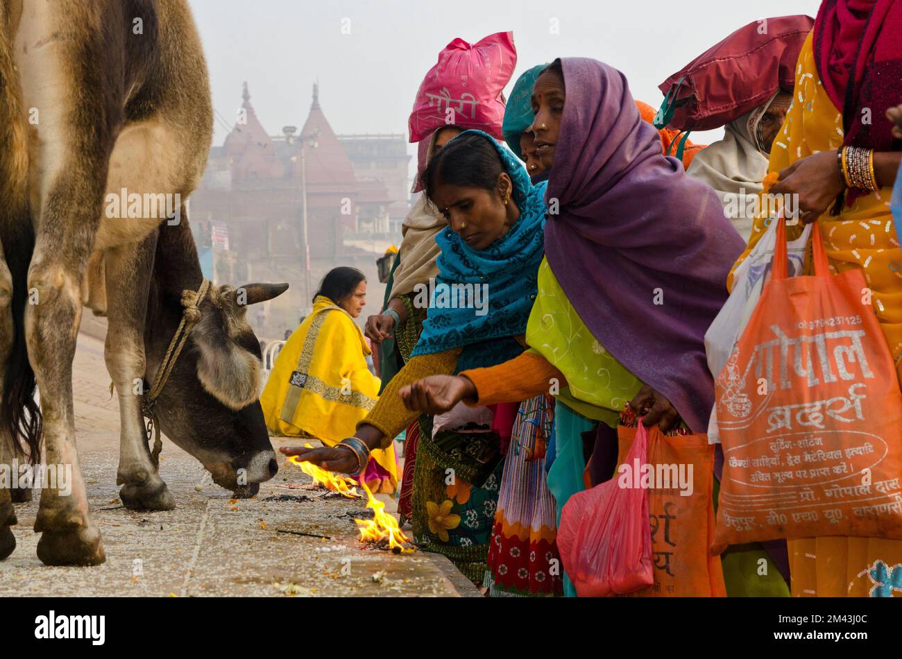 Performed pooja hi-res stock photography and images - Alamy