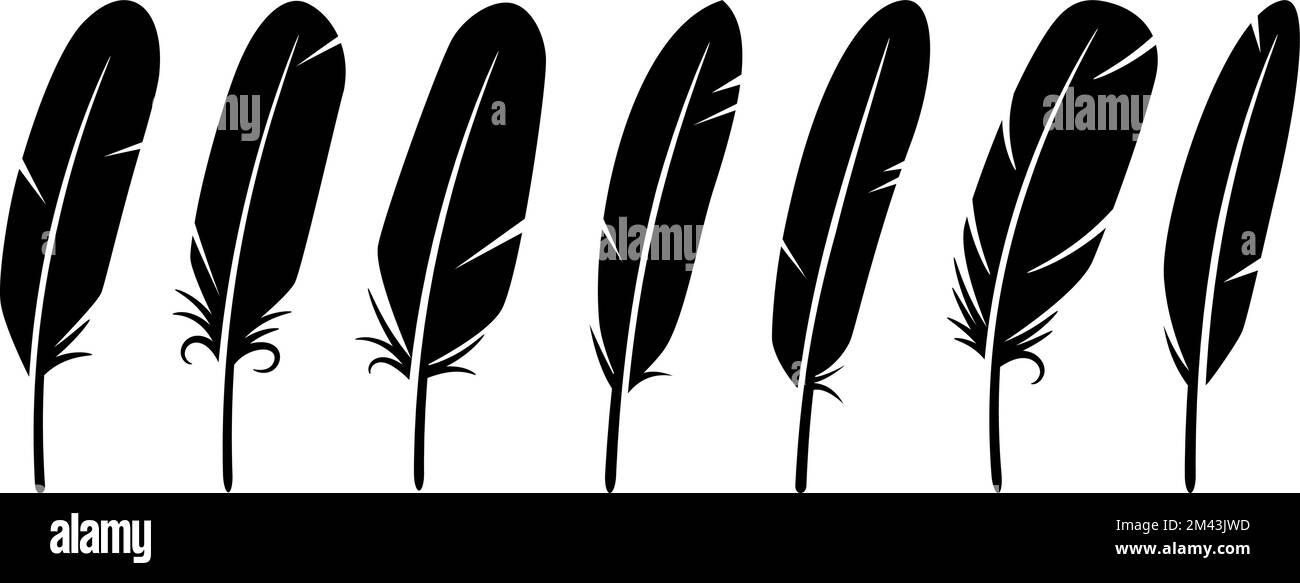 Black silhouettes of a bird feather collection. Vector isolated on ...
