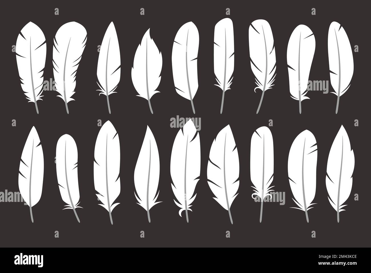 White silhouettes of a bird feather collection. Feathers icon set in ...