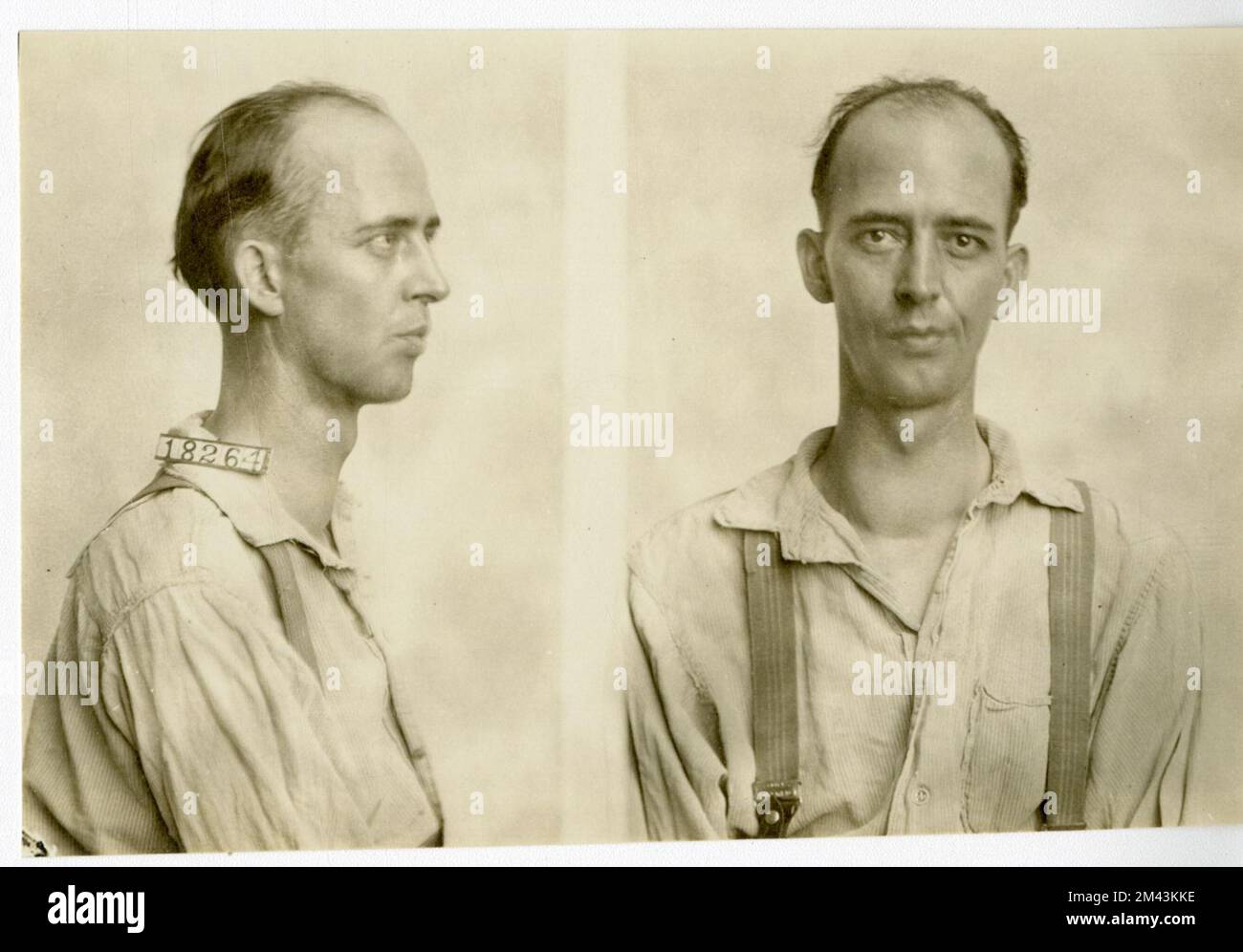 Lippard hi-res stock photography and images - Alamy