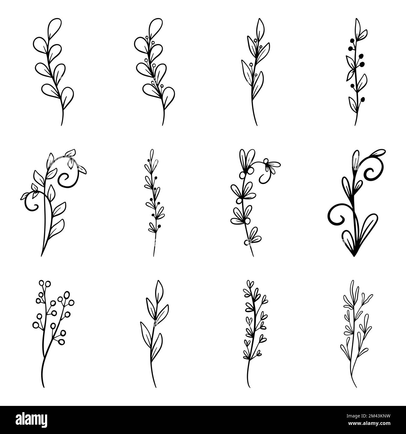 Set Of Hand Drawn Doodle Vector Leaves And Branches Floral Plant
