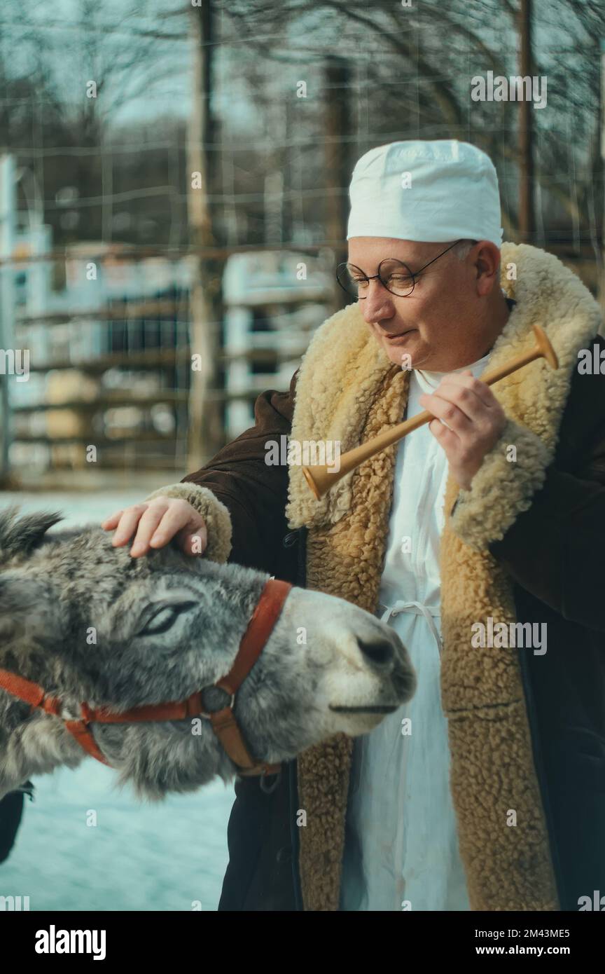 Doctor checkup horse hi-res stock photography and images - Alamy