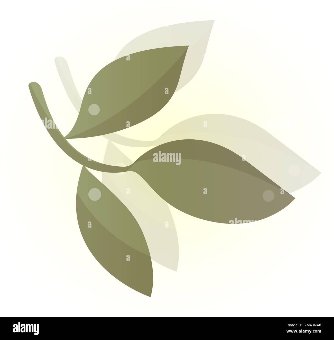 realistic green leaves and sprouts isolated on white background. Sprig ...