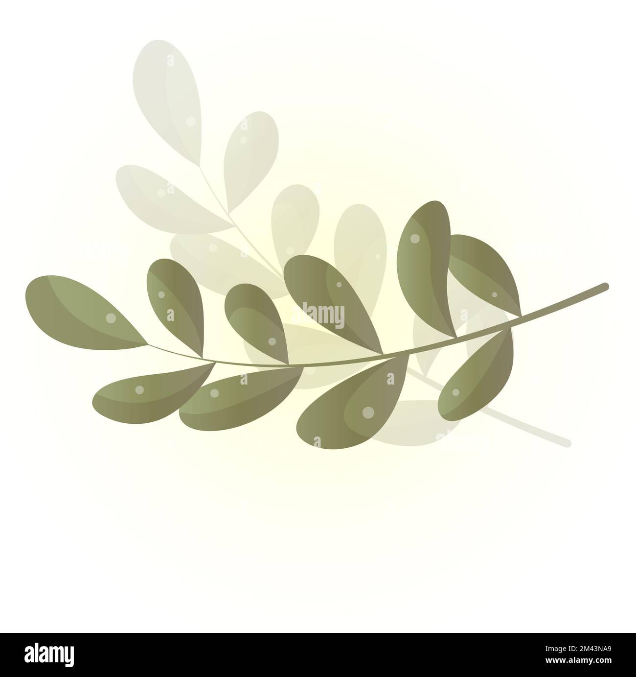 realistic green leaves and sprouts isolated on white background. Sprig ...