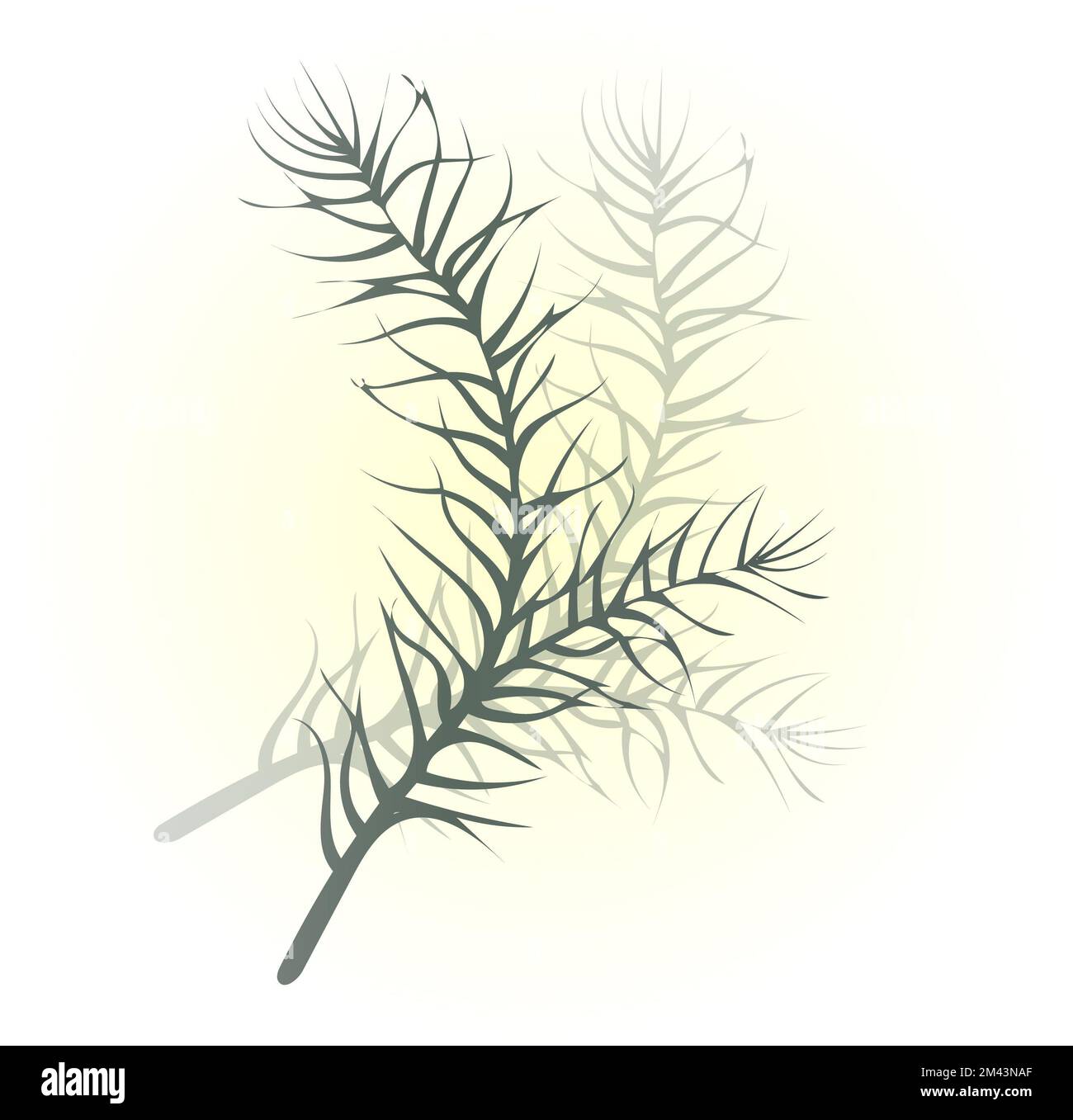 realistic green leaves and sprouts isolated on white background. Sprig ...