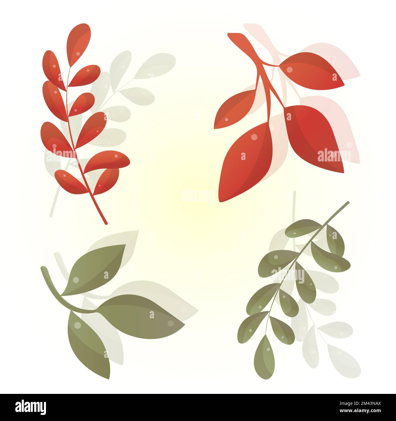Big set of cute leaves from different kind of trees isolated on white ...