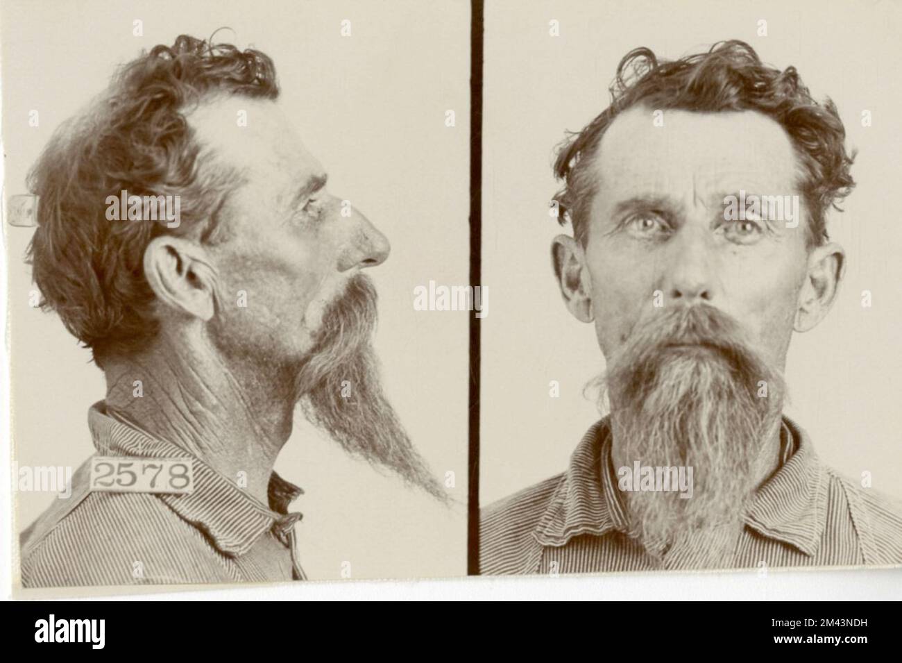 Photograph of A. B. Cook. Bureau of Prisons, Inmate case files Stock ...