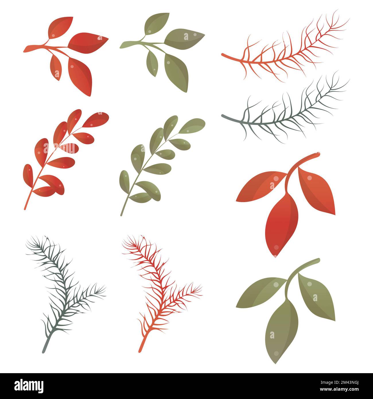 Big set of cute leaves from different kind of trees isolated on white ...