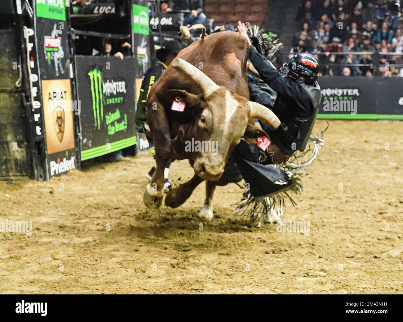 Manchester, New Hampshire, USA. 17th Dec, 2022. PBR Unleash the Beast ...