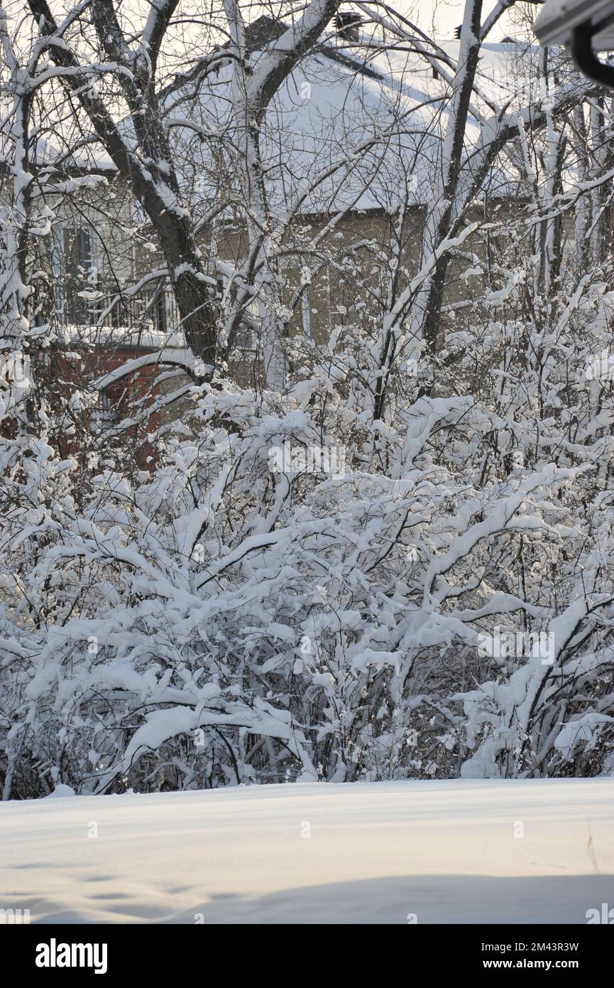 The first snow in Montreal is beautiful. Sometimes the first snow ...