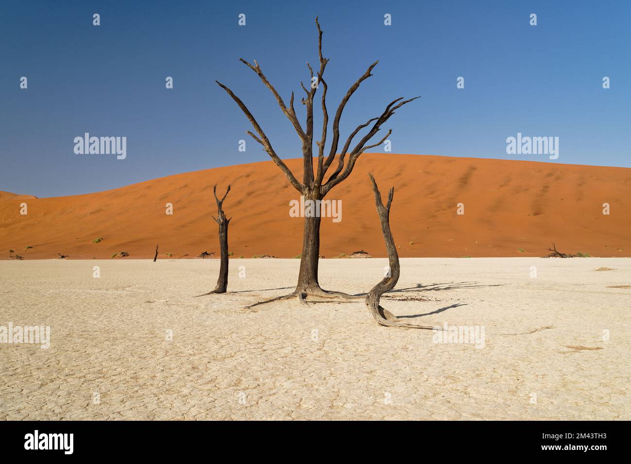 Sossus vlei hi-res stock photography and images - Alamy