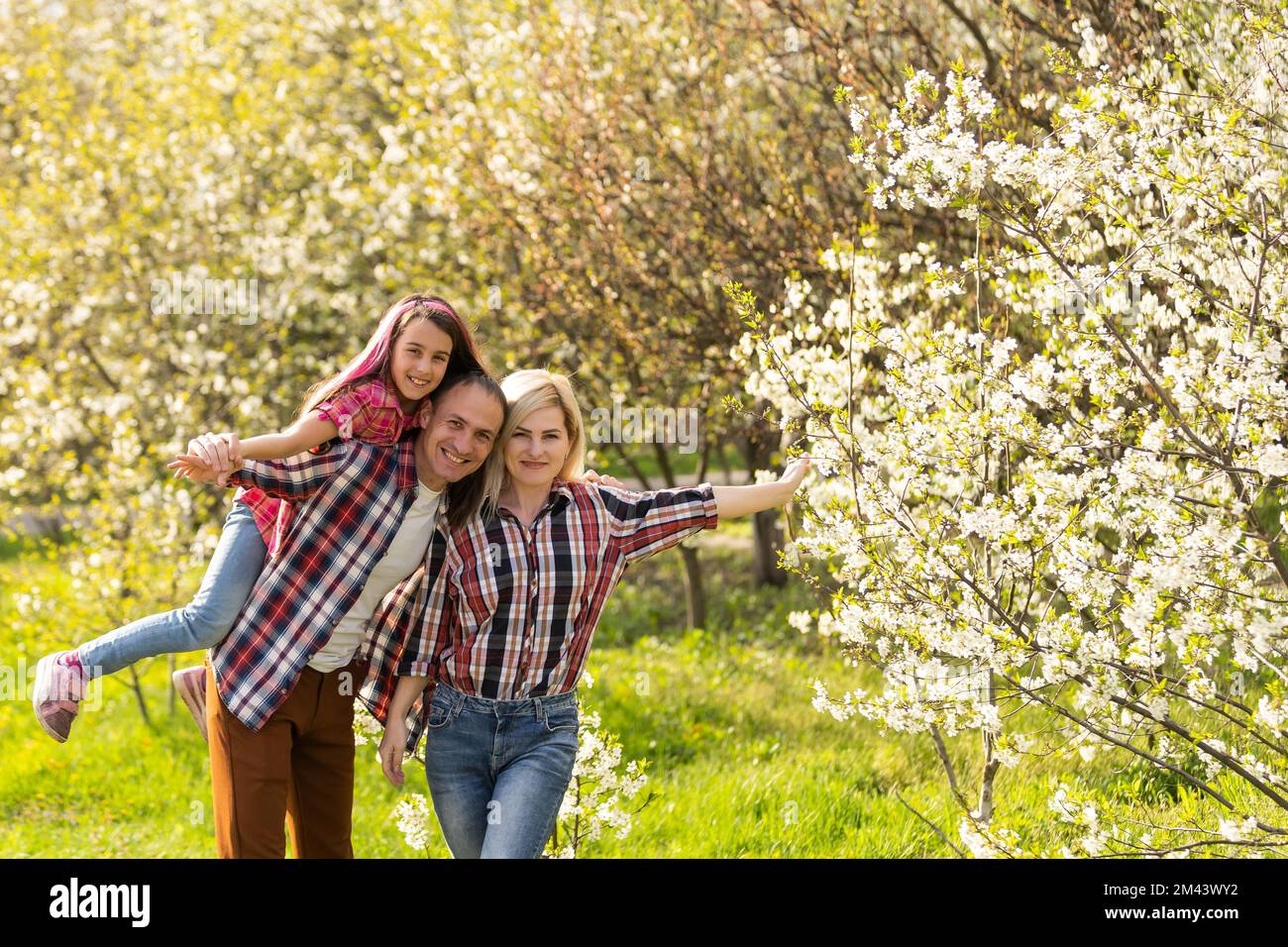 family walk the cherry trees Stock Photo - Alamy