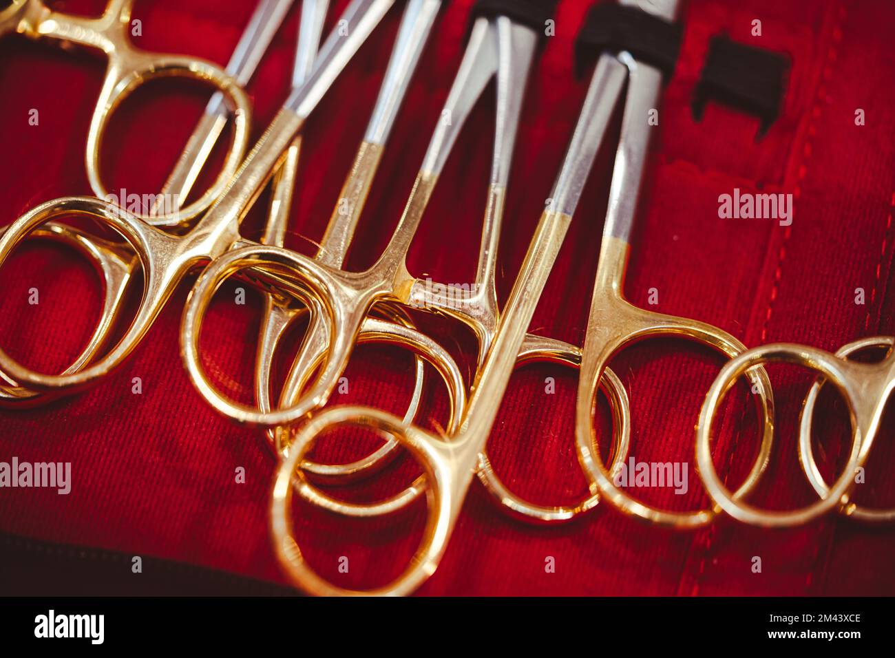 Dental scissors hi-res stock photography and images - Alamy