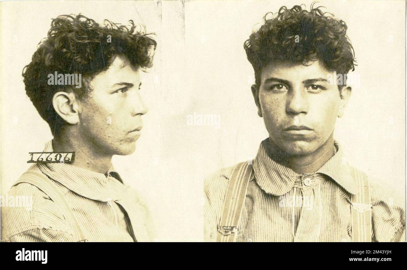 Photograph of Richard F. Merrill (aka Richard F. Merril). Bureau of ...