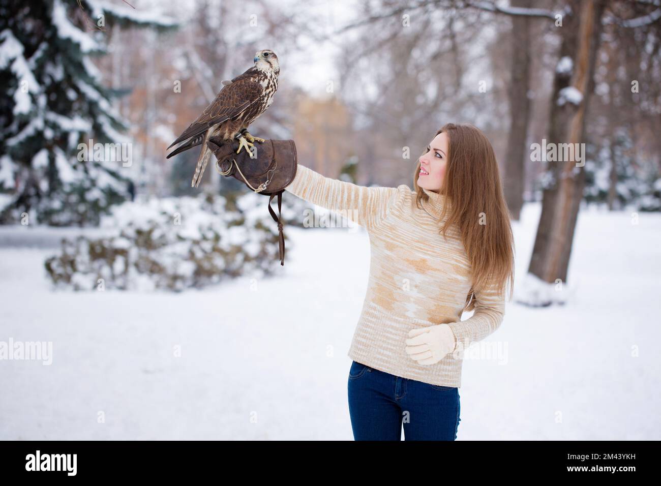Falcon on human hand hi-res stock photography and images - Alamy