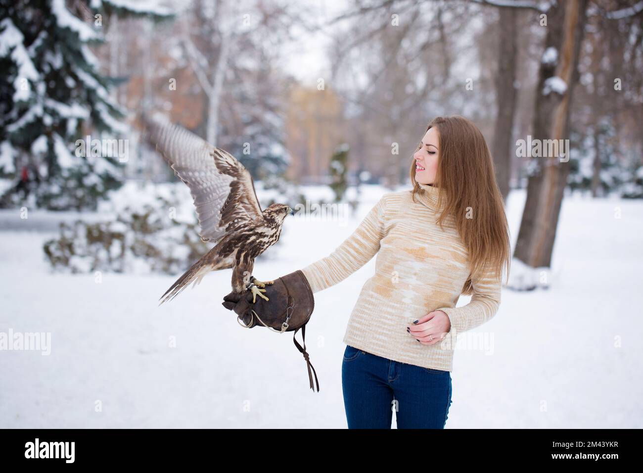 Falcon on human hand hi-res stock photography and images - Alamy