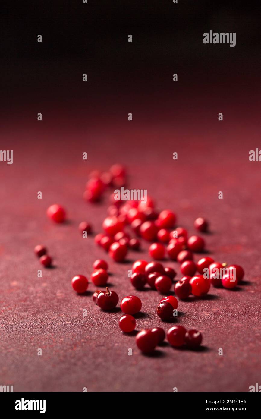 Delicious juicy lingonberry berry scattered on a burgundy background ...