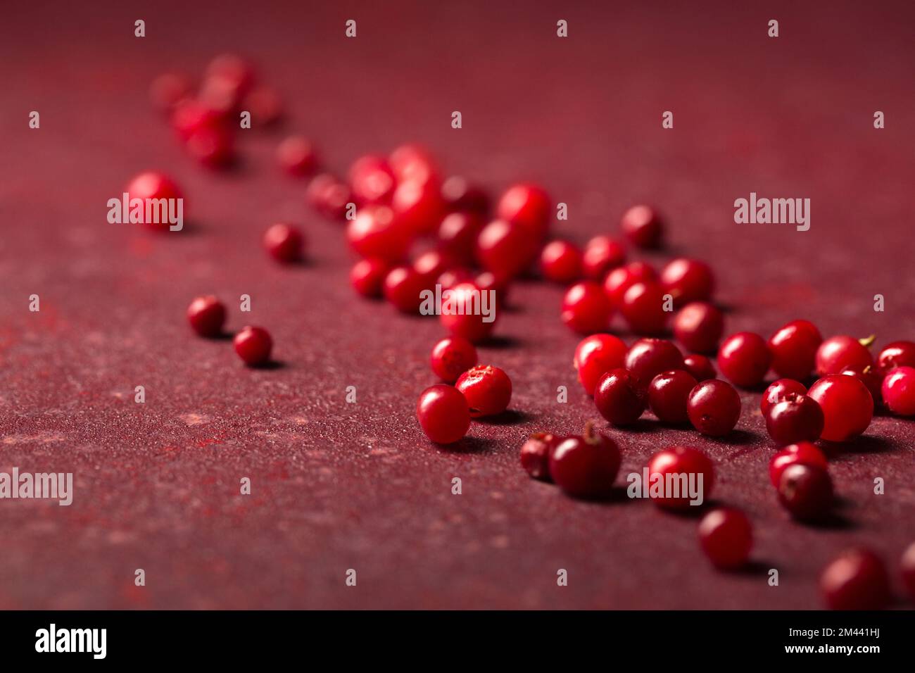 Delicious juicy lingonberry berry scattered on a burgundy background ...