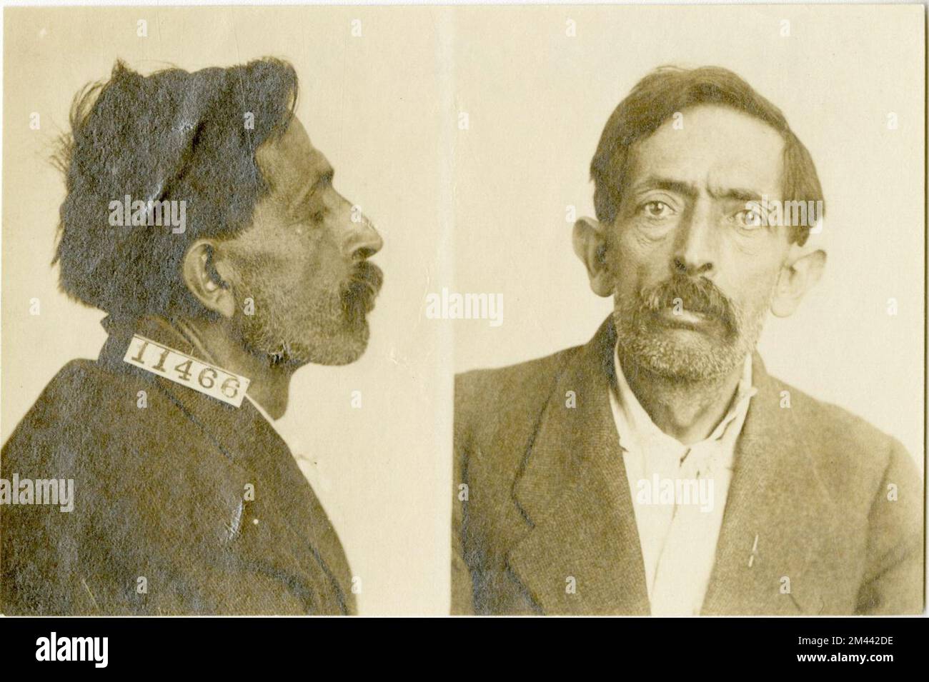 Favila hi-res stock photography and images - Alamy