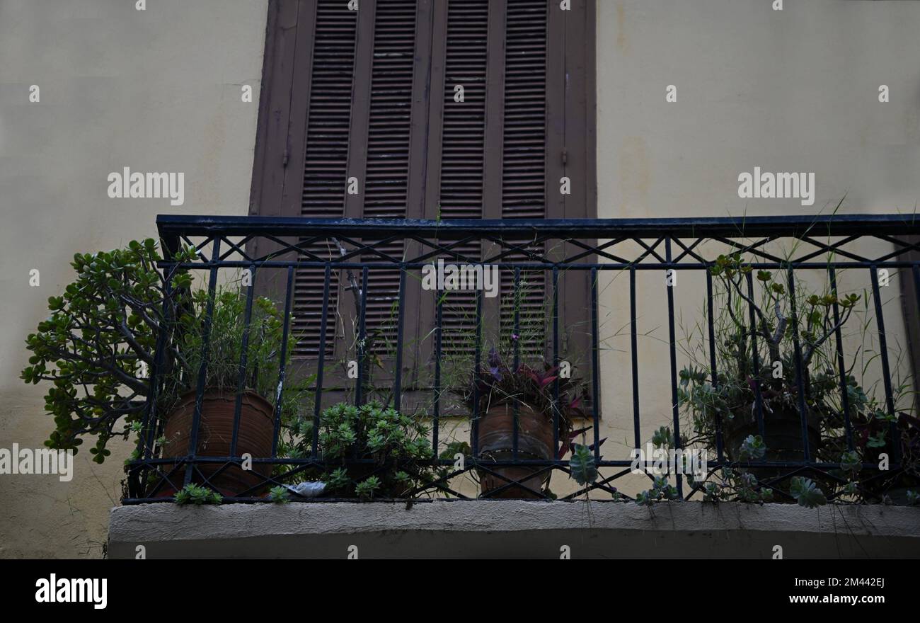Neoclassical house facade with wooden window shutters and a balcony ...