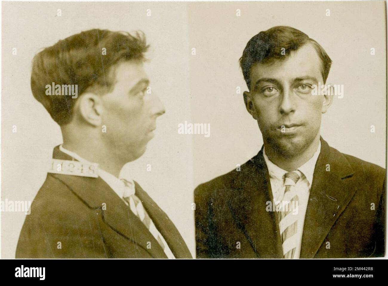 Porea hi-res stock photography and images - Alamy