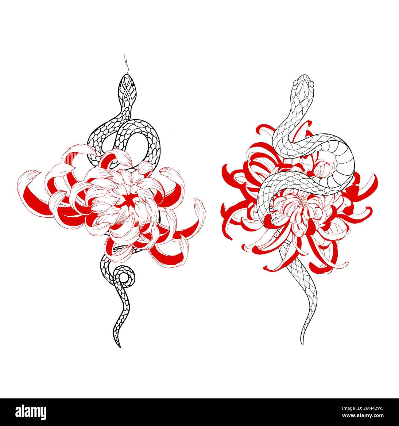 Creative set of stylish tattoo sketches. Snake and red chrysanthemum ...
