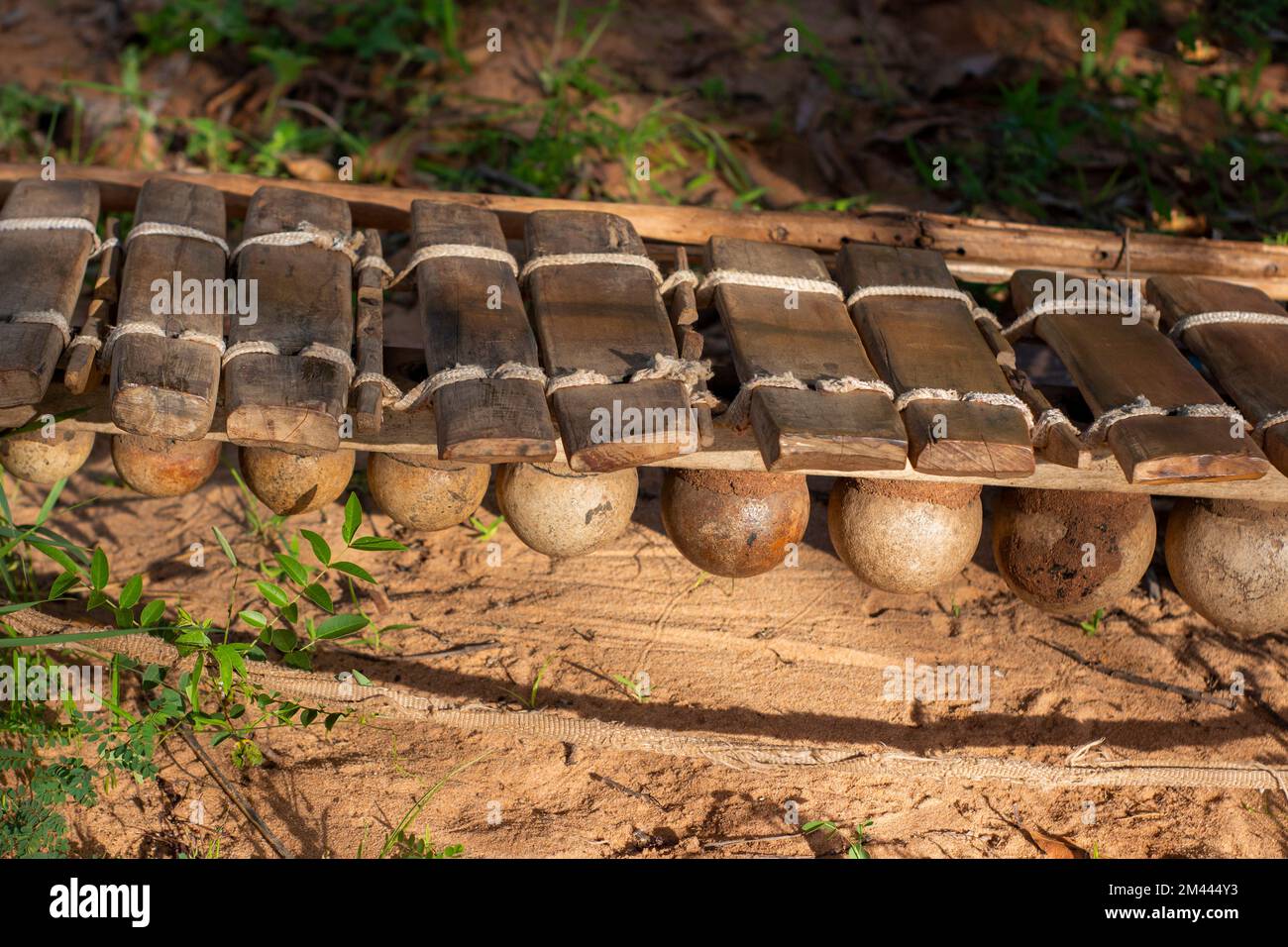 Traditional african xylphone like culture heritage instrument known as ...