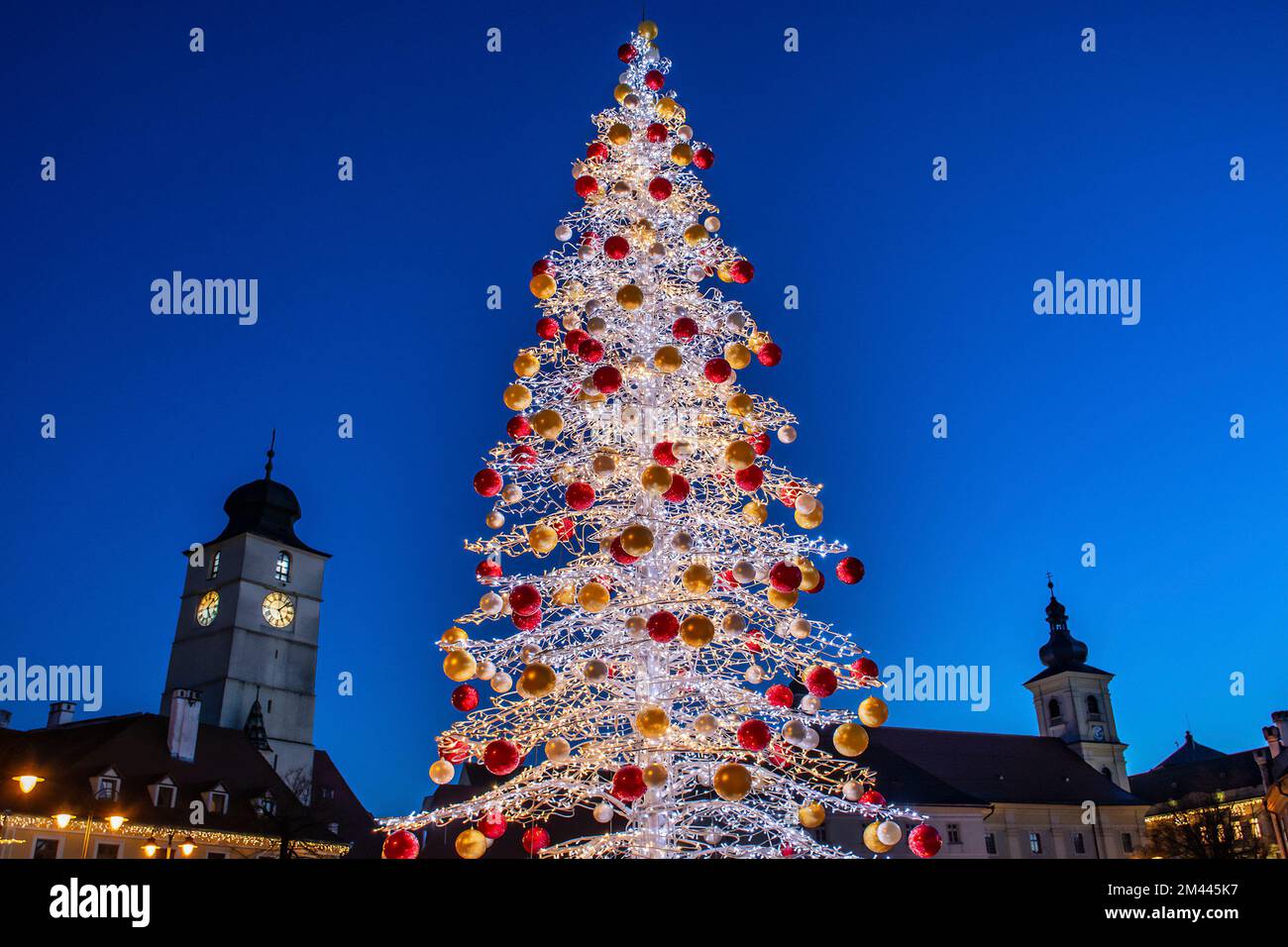 Christmas tree in Sibiu, Transylvania, Romania, in winter Stock Photo ...