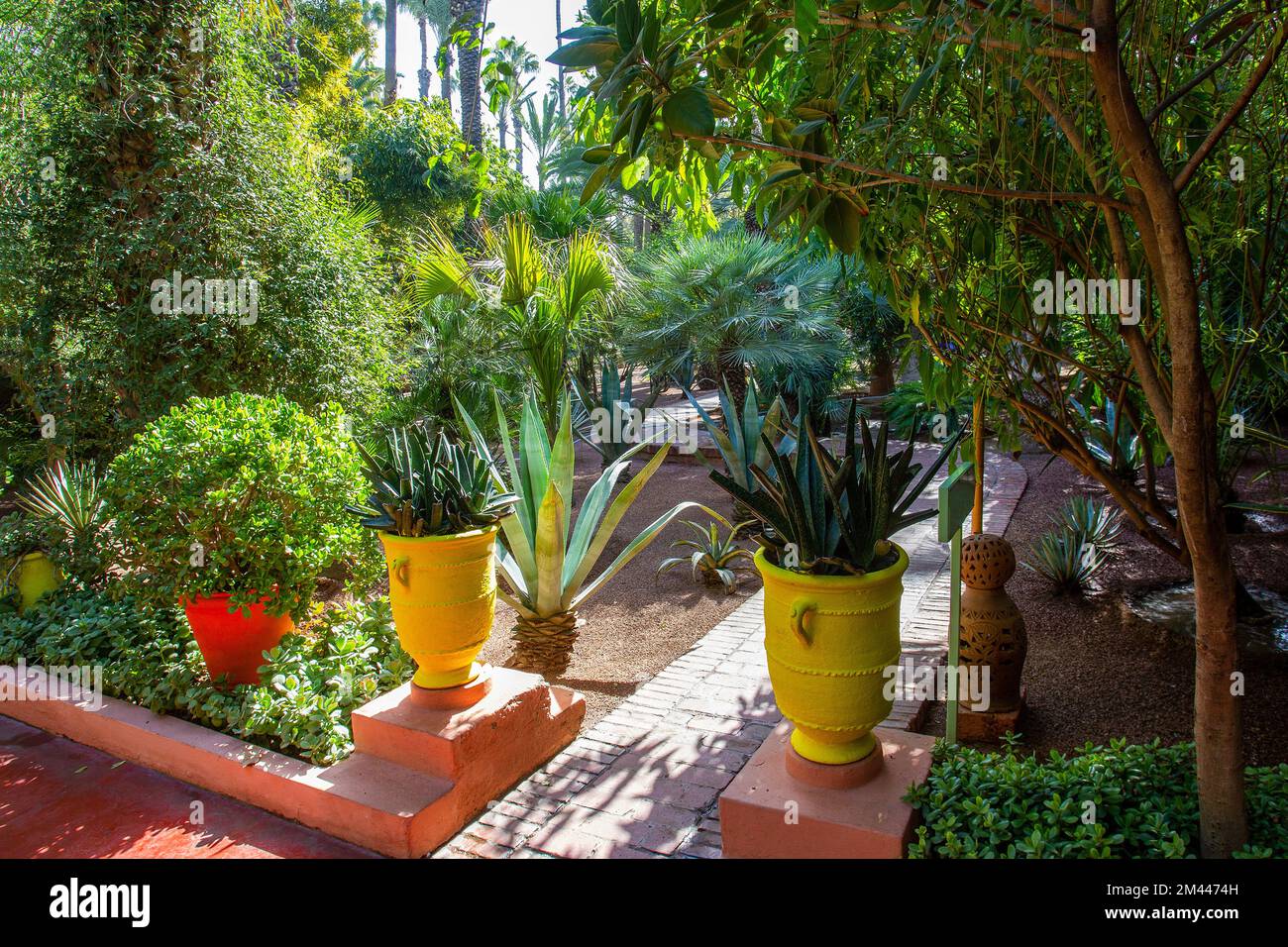 Potted plants next to garden and villa Majorelle (made 1923) on veranda ...