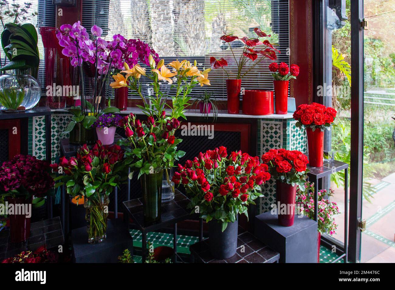 Fantastic Moroccan flowers in a flower shop in a 5-star hotel in ...