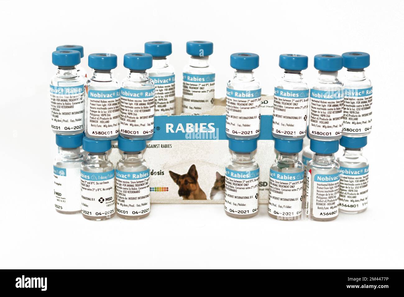Cairo, Egypt, December 17 2022: Nobivac Rabies stable inactivated ...