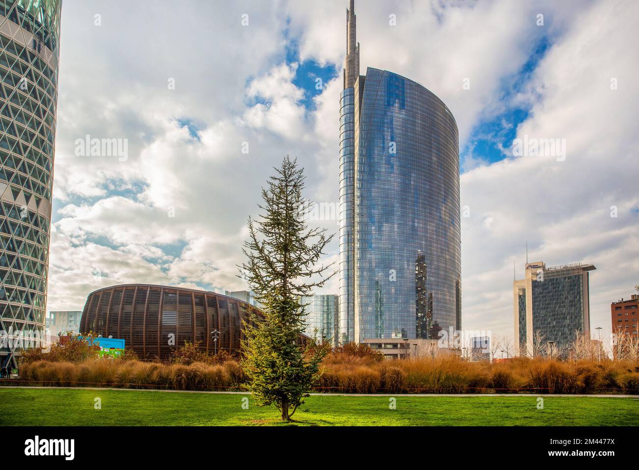 Bam tree library hi-res stock photography and images - Alamy