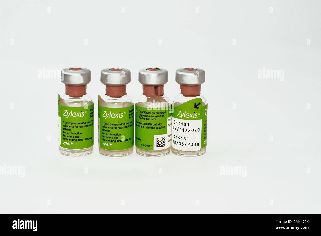 Cairo, Egypt, December 17 2022: Zylexis vaccine for prevention and ...