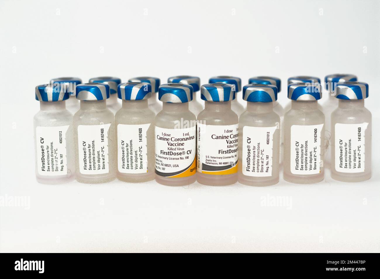 Inactivated bacteria hi-res stock photography and images - Alamy