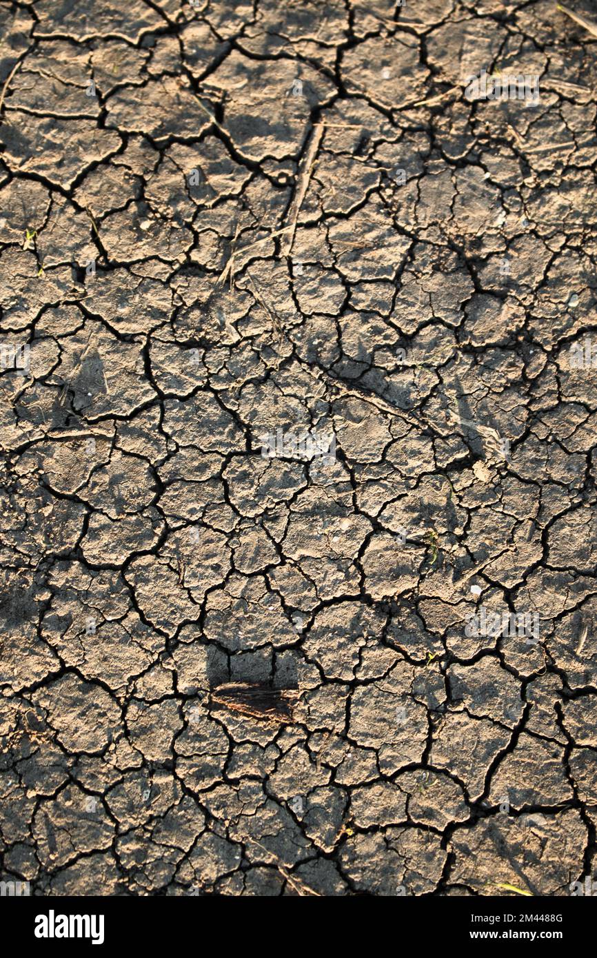 A vertical shot of cracked ground, cool for texture Stock Photo - Alamy