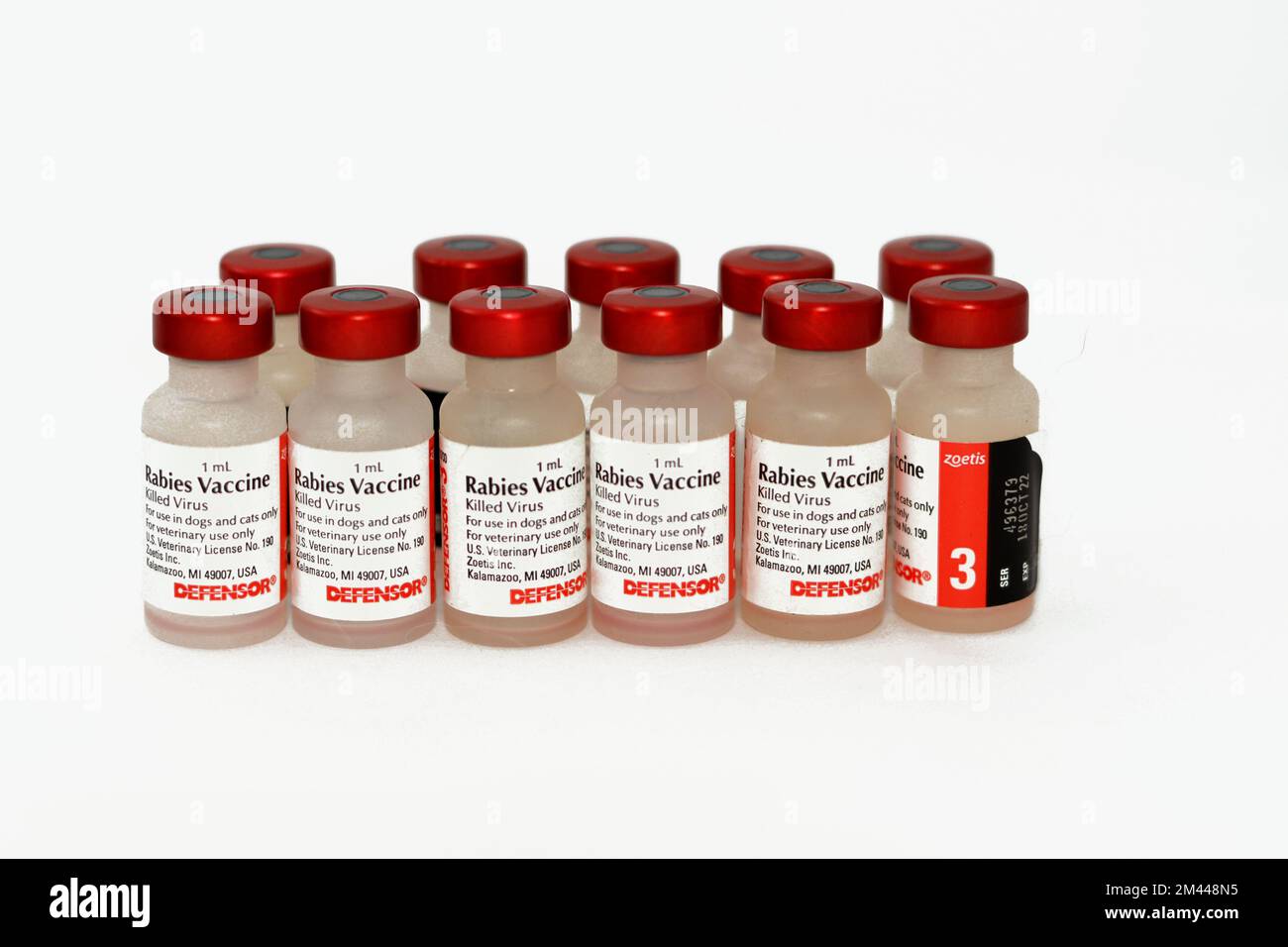 Cairo, Egypt, December 17 2022: Rabis vaccine killed virus for use of ...